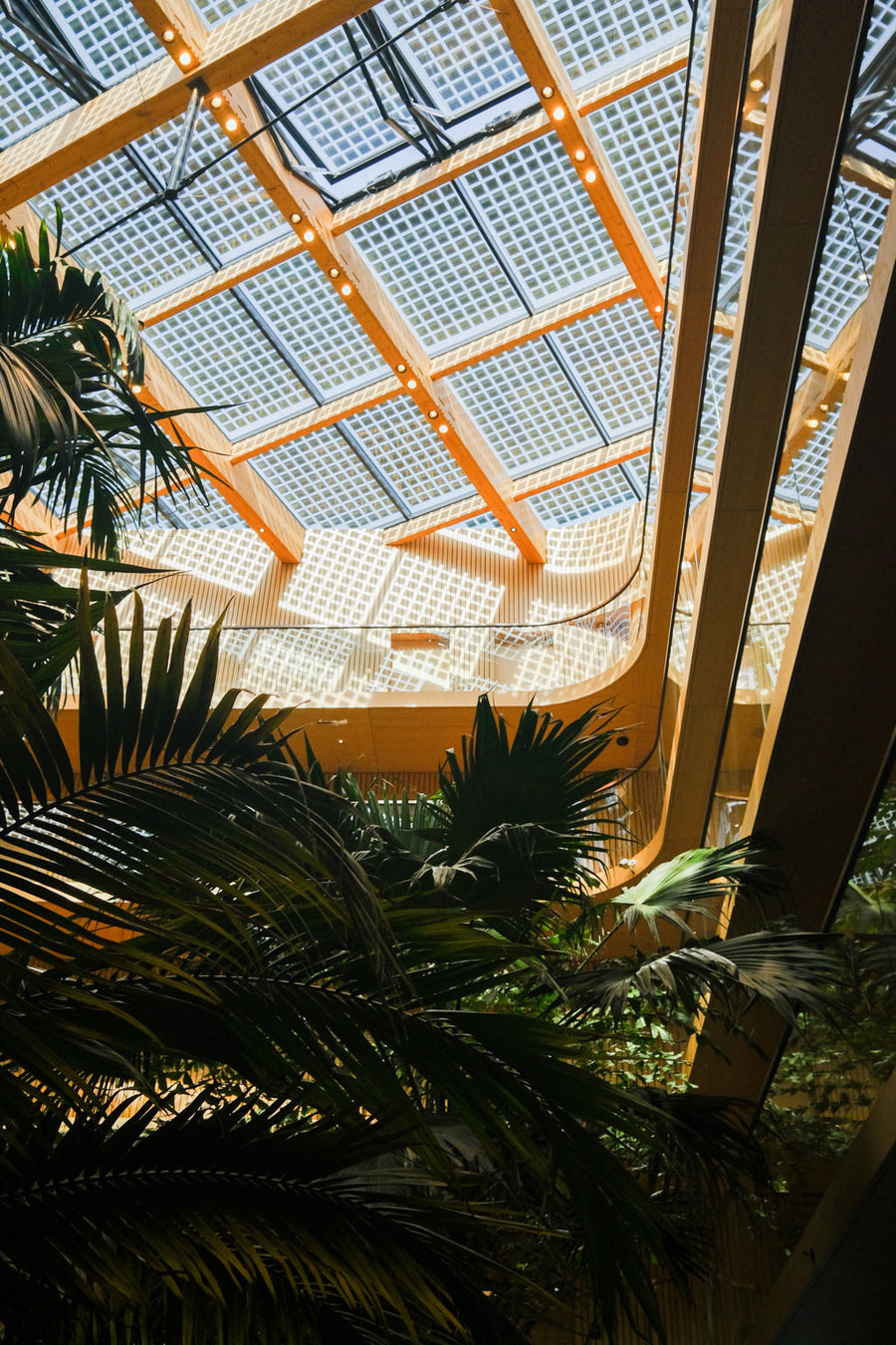 About Commen Skincare: simple, effective, and affordable